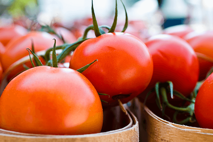 Agriculture Facts | Virginia Farm Bureau